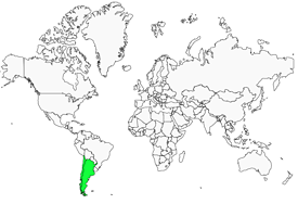 Patagonian Tinamou - Tinamotis ingoufi